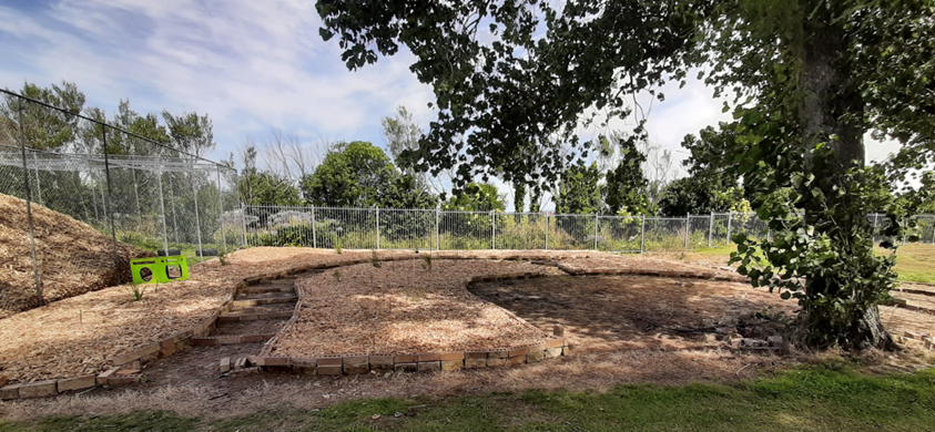 Waitakaruru School Rongoā garden – Taylor Bros Transport Ltd